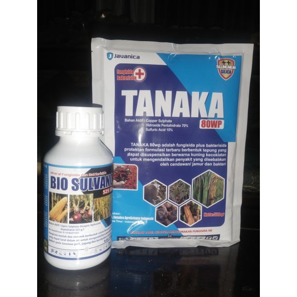 Jual Fungisida Tanaka 80wp dan Bio Suvano paket fungisida dan bakteri ...