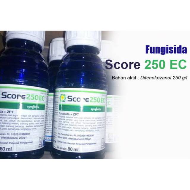 Jual syngenta Score 250 EC - fungisida sistemik + ZPT - 80 ml | Shopee ...