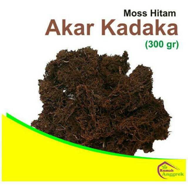 Jual Media Akar Kadaka 300 gram gr moss hitam anggrek | Shopee Indonesia