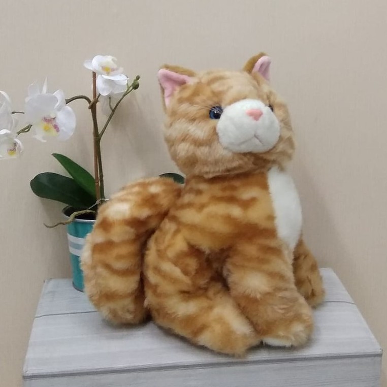 Jual Boneka Sitting Cute Cat/boneka animal/boneka kucing oren lucu/kado ...