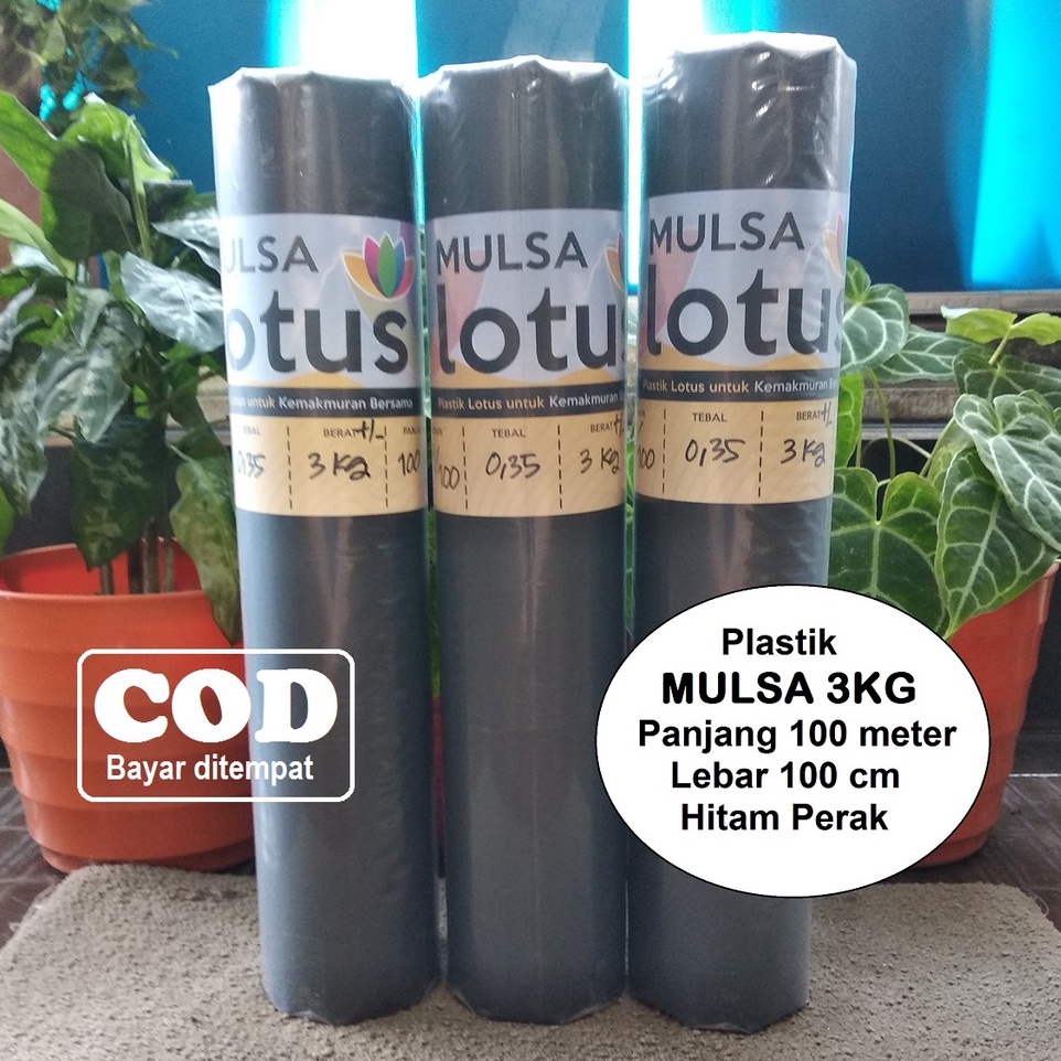 Jual mulsa plastik mulsa pertanian plastik hitam perak 1 roll lebar 100 ...