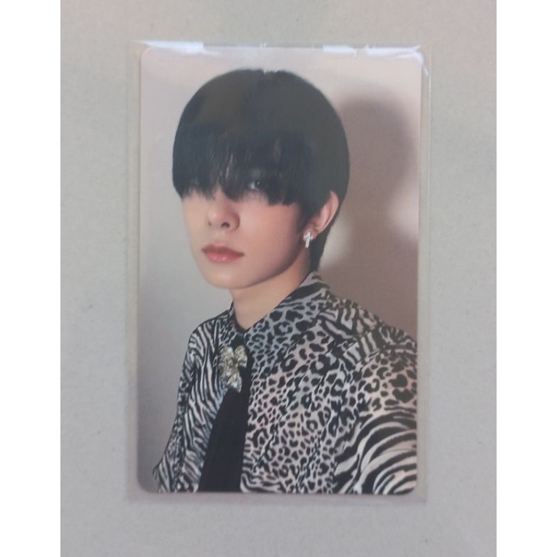 Jual enhypen photocard heeseung dimension:dilemma scylla ver | Shopee Indonesia