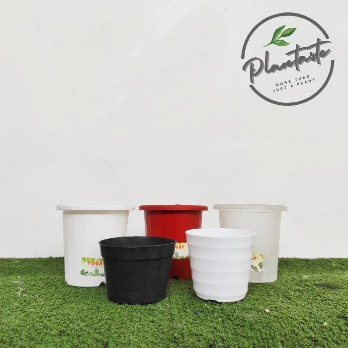 Jual Aneka Pot Plastik | Diameter 10cm | Pot Kecil Bibit Tanaman Hias ...