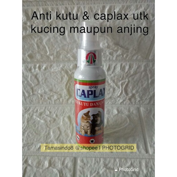 Jual CAPLAX anti kutu & caplak untuk kucing dan anjing | Shopee Indonesia