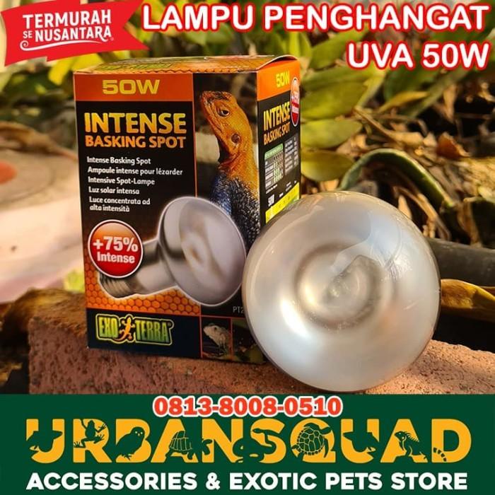Jual Ardia / Lampu Uva Exoterra Basking Intense 50W Sulcata Indianstar Pardalis | Shopee Indonesia