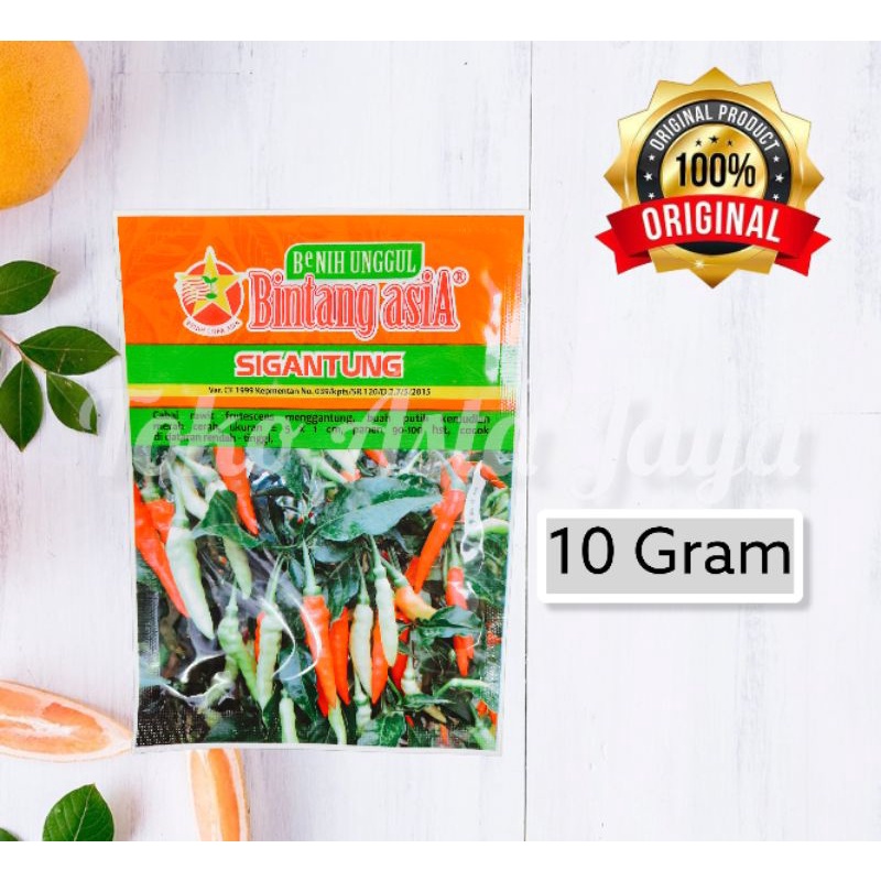 Jual Benih Cabe/Cabai Rawit Si Gantung Pack 10 Gram - Bintang Asia ...