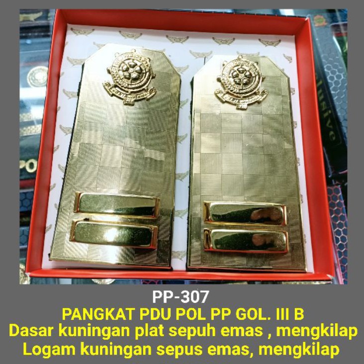 Jual pp-307 pangkat pdu pol pp golongan 3 b | Shopee Indonesia