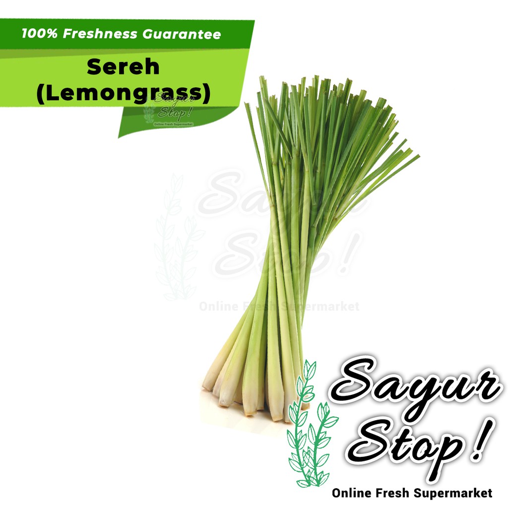 Jual Sereh / Serai / Lemongrass Stalk 1 kg Harga Grosir (Petani Cabe ...