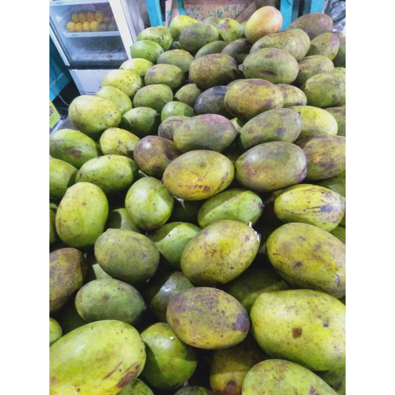 Jual buah mangga kweni|kweni cikampek|1kg|nuri fruits|buah segar ...