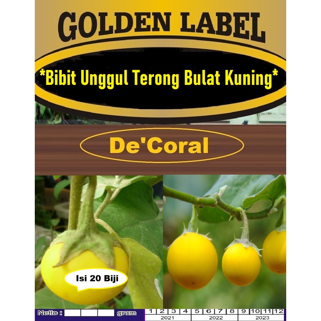 Jual Bibit Terong Bulat Kuning | Benih Terong Kuning | Terong Herbal ...