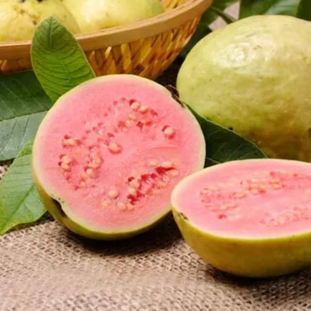 Jual Jambu Merah biji 1 kg | Shopee Indonesia