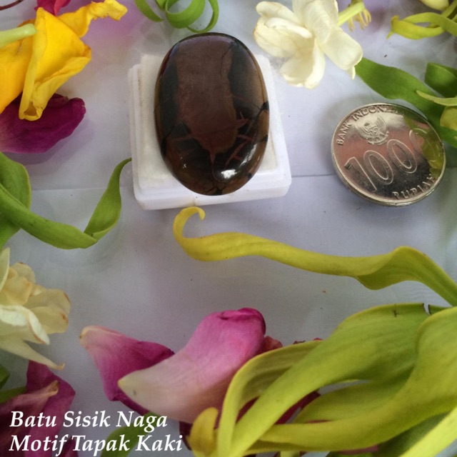 Jual Batu sisik naga motif tapak kaki | Shopee Indonesia