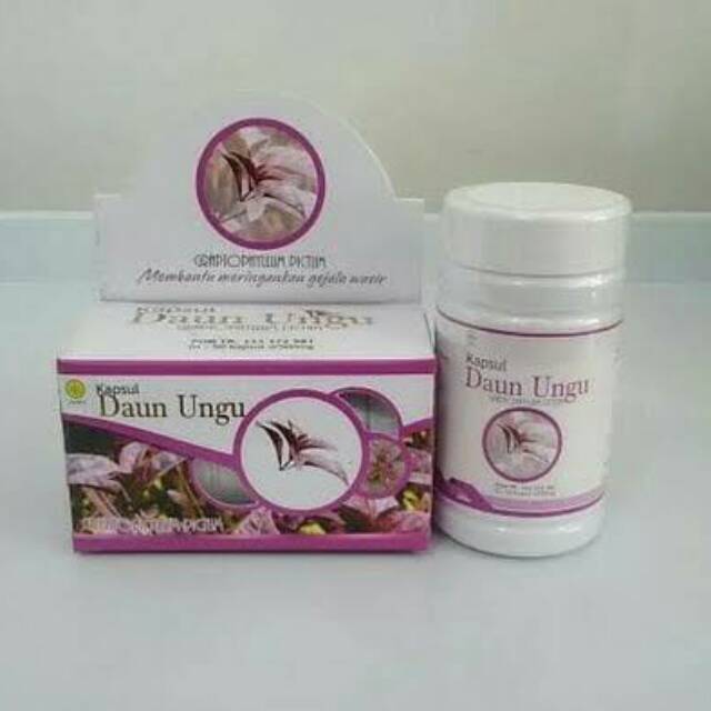 Jual Kapsul Ekstrak Daun Ungu (Ash-Shihhah Herbal ) Original | Shopee Indonesia