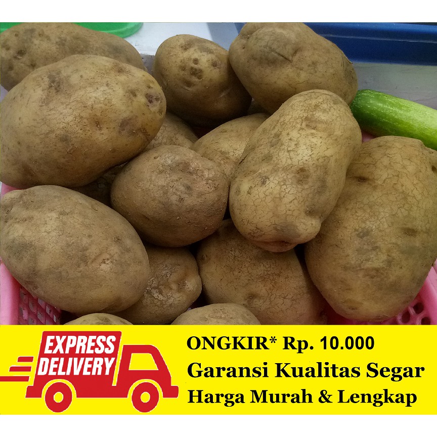 Jual Kentang Segar 1 kg | Shopee Indonesia