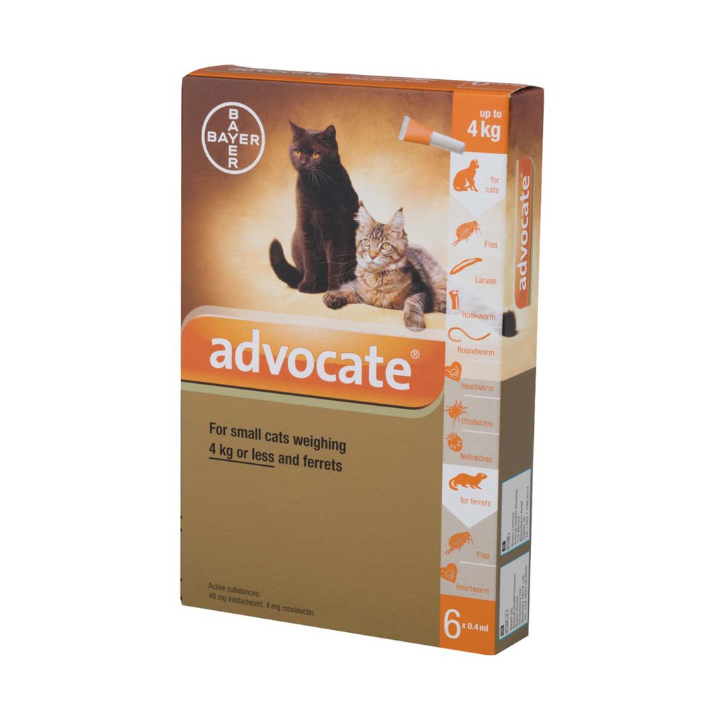 Jual Advocate Cat Small