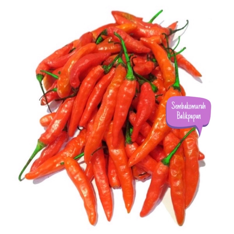 Jual cabe rawit 100gr | Shopee Indonesia