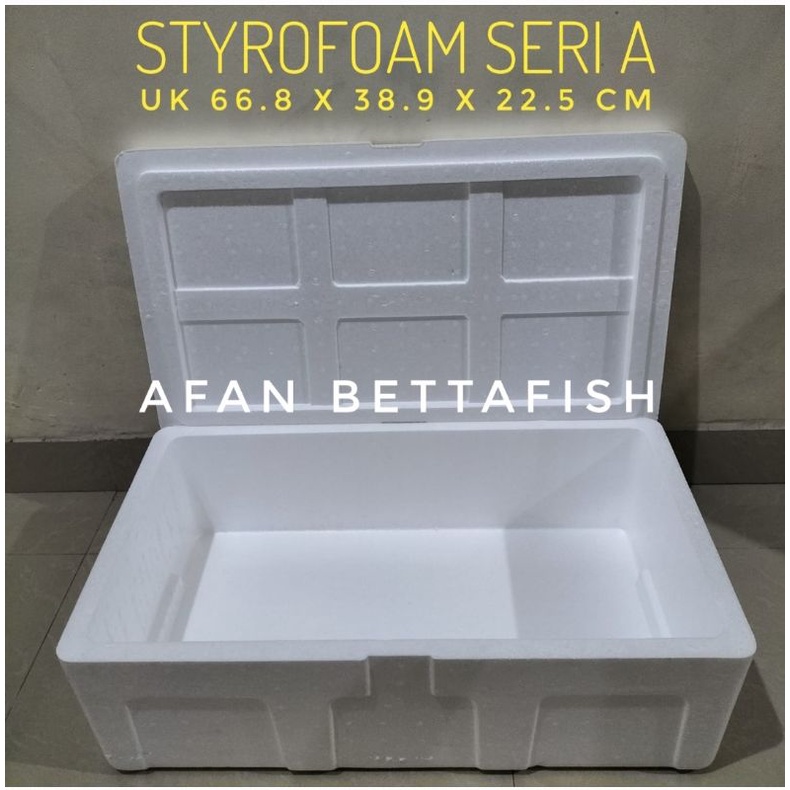 Jual Styrofoam Box Seri A 68 x 38 x 22 cm / Sterefoam Cooler Frozen ...