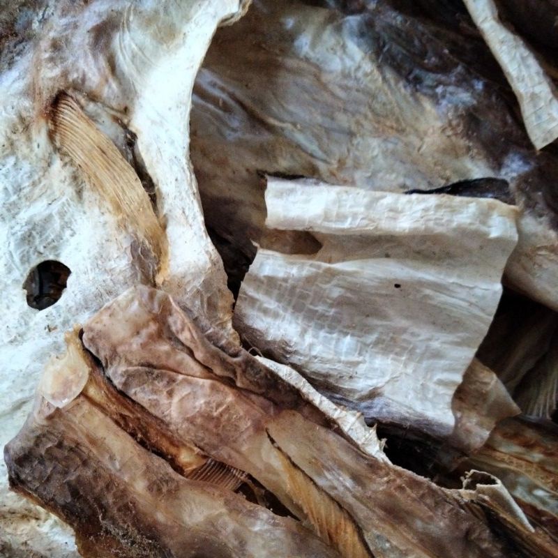 Jual rambuk kulit ikan remang mentah kiloan | Shopee Indonesia