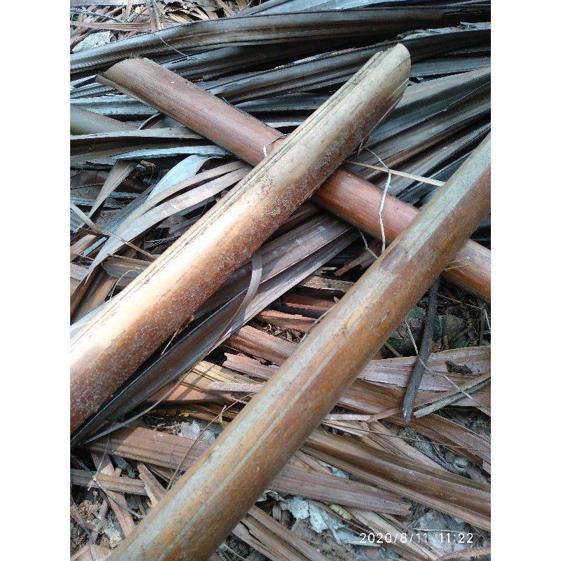Jual PELEPAH DAHAN POHON SAGU ATAU RUMBIA UNTUK PRAKARYA | Shopee Indonesia