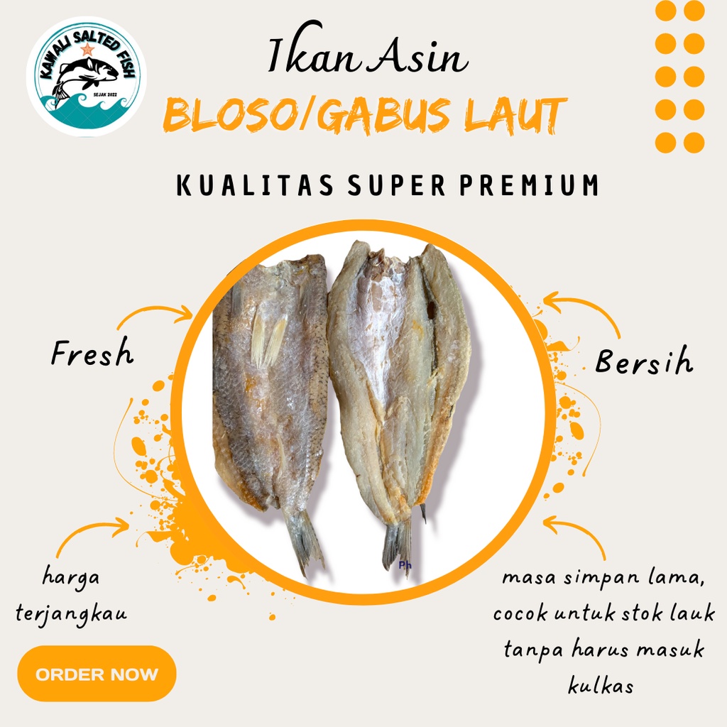 Jual IKAN ASIN GABUS LAUT/ BLOSO KERING 500 GRAM | Shopee Indonesia