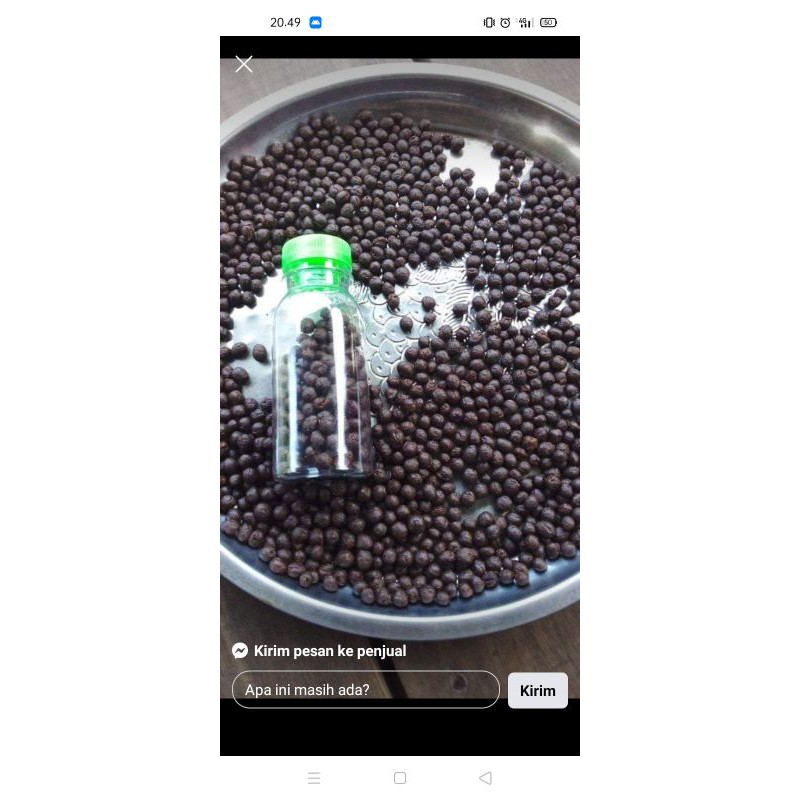 Jual pil pinang muda / jamu / anti pelakor | Shopee Indonesia