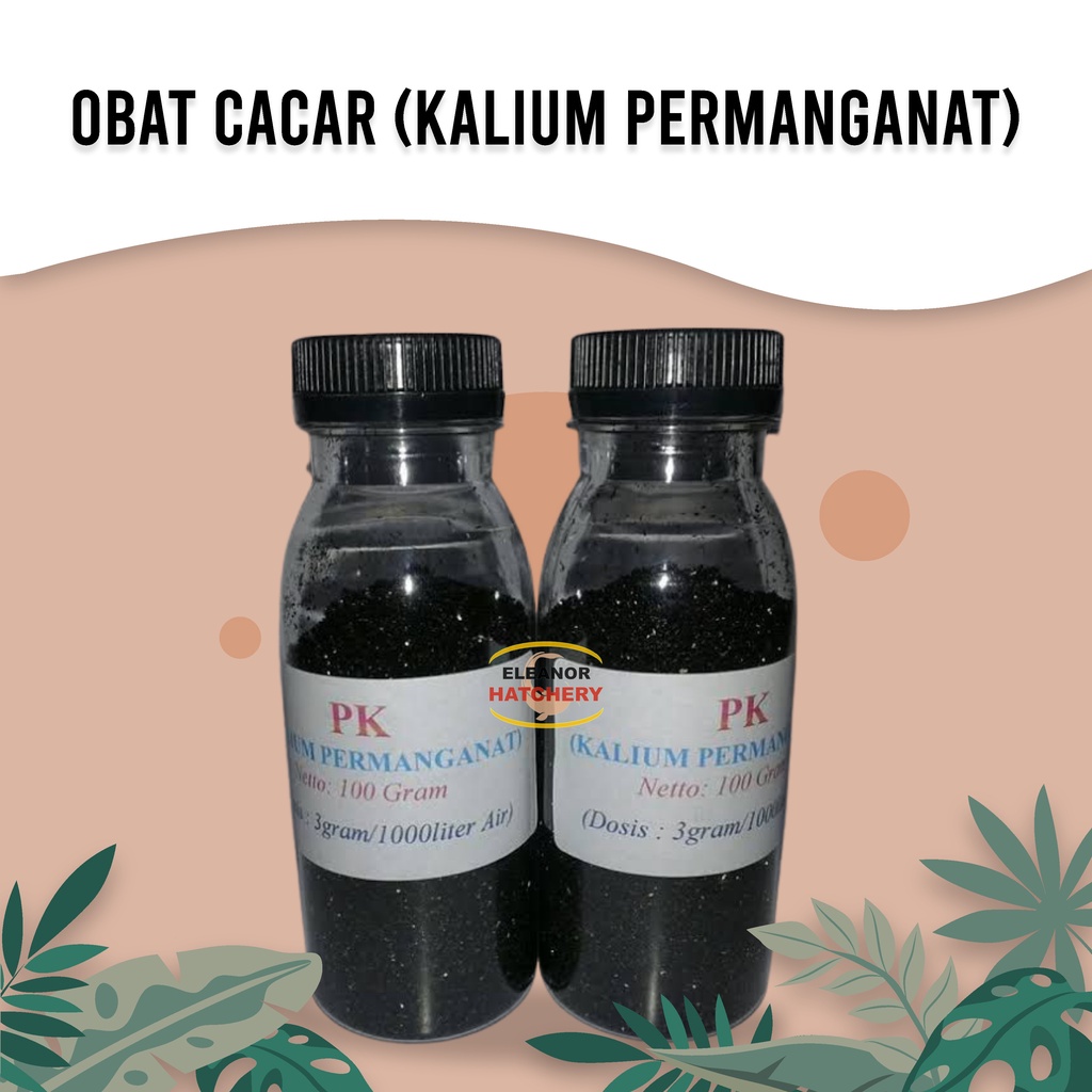 Jual Termurah Obat Cacar ( Kalium Permanganat ) | Shopee Indonesia