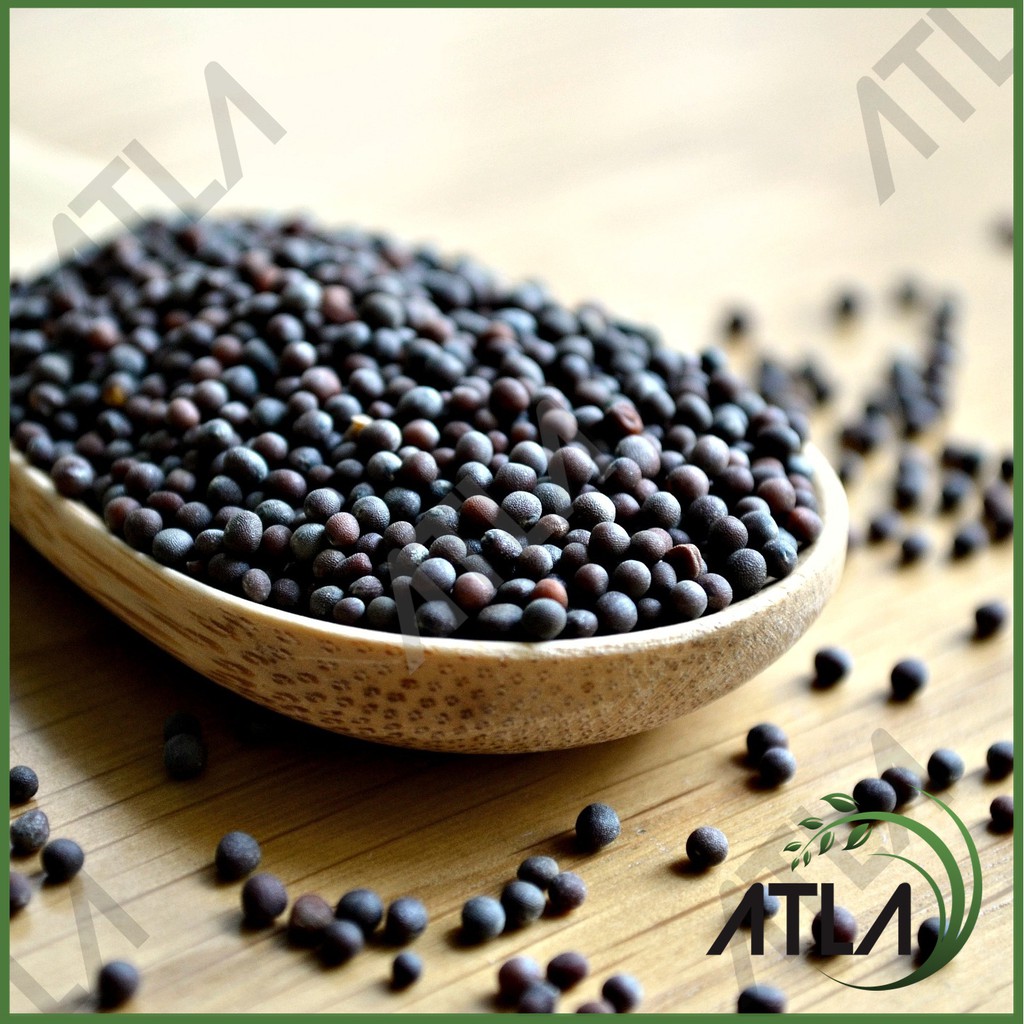 Jual Benih Tanaman Black Mustard Bibit Sawi Hitam Biji Sayur Sayuran ...