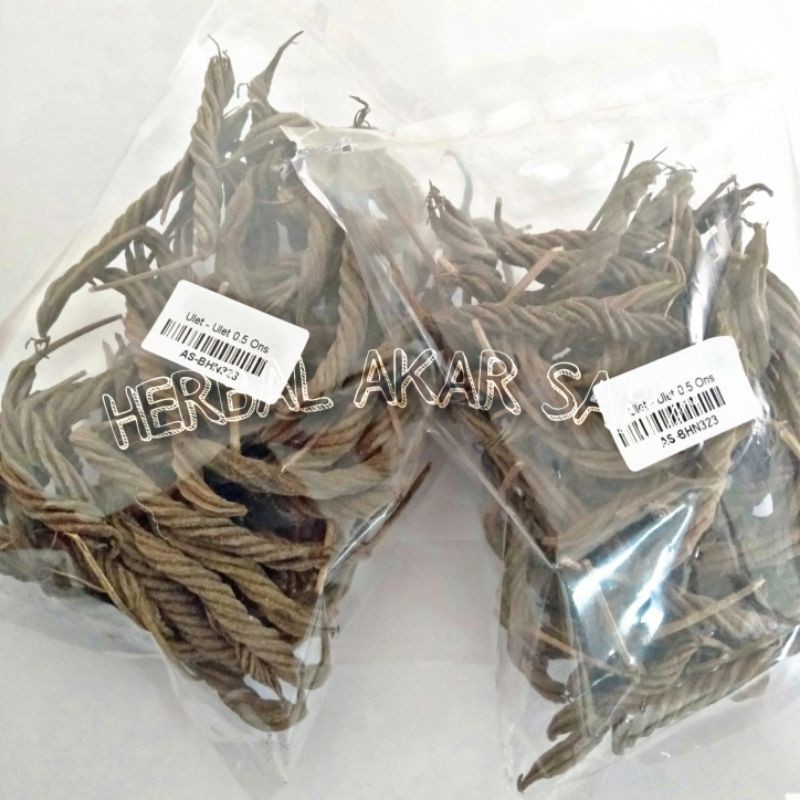 Jual Akar Sari - Kayu Ules/Kayu Ulet-ulet 50 Gram | Shopee Indonesia