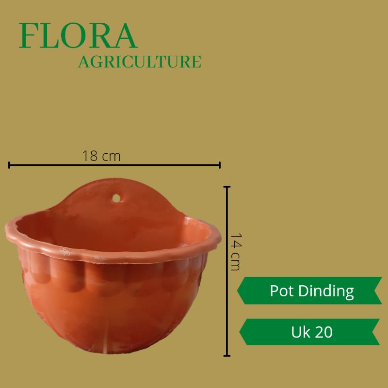 Jual Pot Dinding Pot Tempel 20cm | Shopee Indonesia