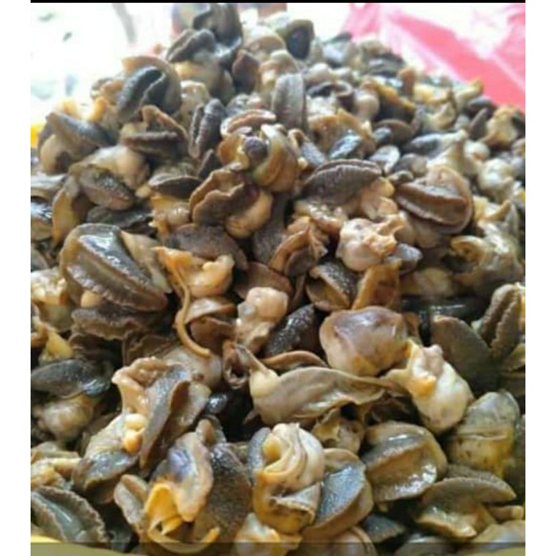 Jual daging bekicot bersih,sudah rebusan tinggal masak(1kg) | Shopee ...