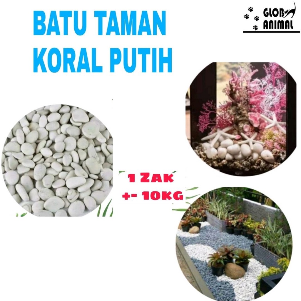 Jual BATU KORAL PUTIH ZAK 10KG batu hias taman aquascape aquarium batu ...