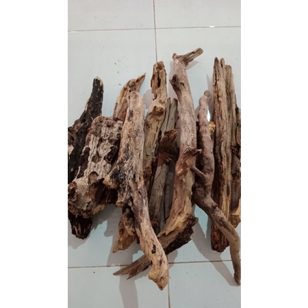 Jual kayu rentek / kayu lapuk aquascape size 50cm -70cm | Shopee Indonesia