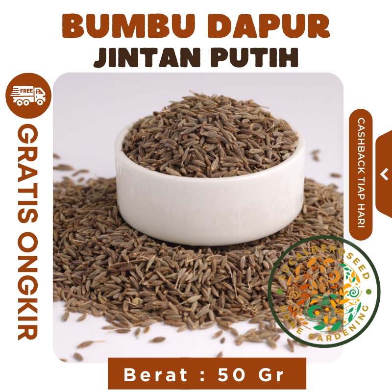 Jual Jintan Putih / Cumin Seeds / Jeera 50 Gram Bumbu Dapur Rempah ...