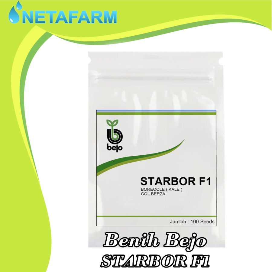 Jual Benih Biji Bibit Kale Daun Lebar STARBOR F1 BEJO 100 seeds ...
