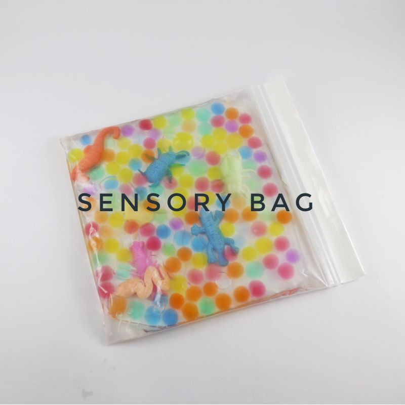Jual Sensory Bag | Double Ziplock Pouch (2 pcs) / Sensory Play | Shopee ...