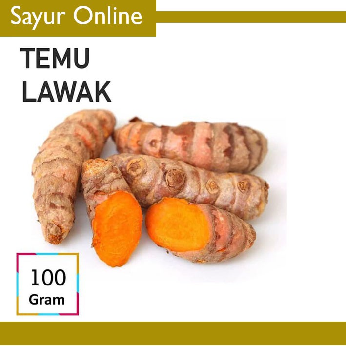 Jual TEMU LAWAK / Curcuma Zanthorrhiza [100g] | Shopee Indonesia