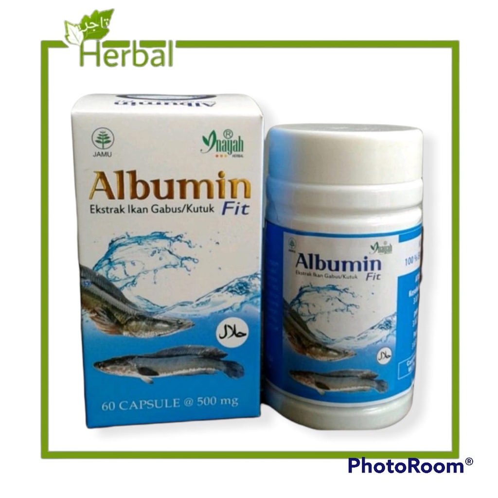 Jual ALBUMIN FIT INAYAH Suplemen Makanan Vitamin Kesehatan - Albumin ...