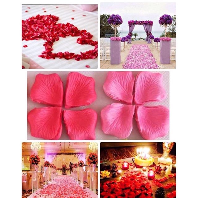 Jual Rose petal - bunga mawar - kelopak mawar | Shopee Indonesia