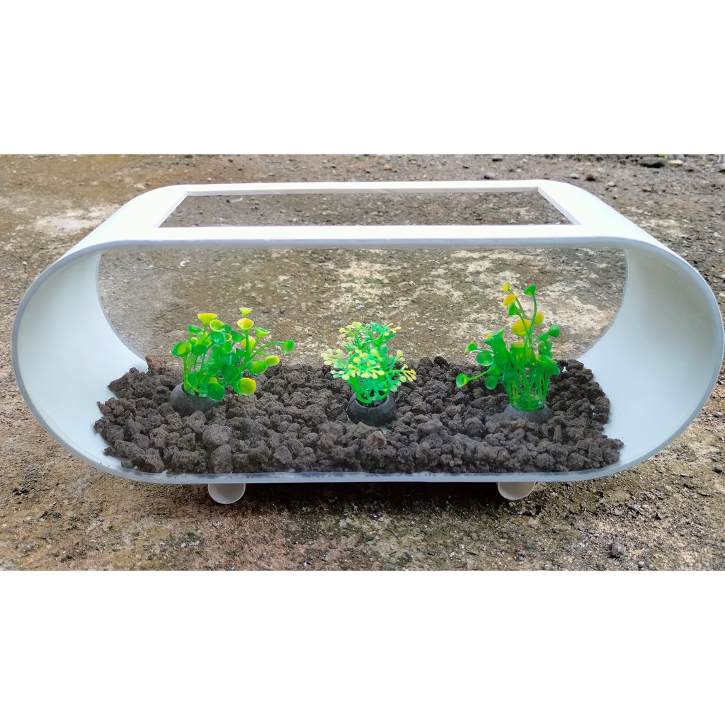 Jual Aquarium Cupang/Aquarium Mini/Aquarium PVC/Non Akrilik 29x12x10 CM ...
