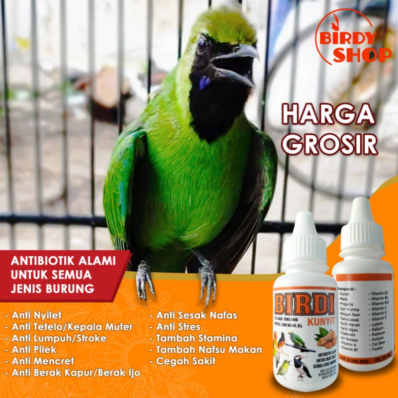 Jual OBAT BURUNG SAKIT BIRDI KUNYIT | Shopee Indonesia
