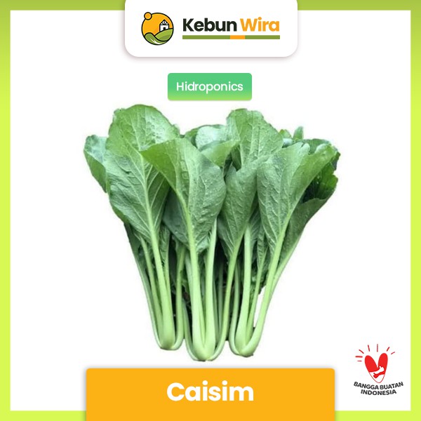 Jual Caisim Hidroponik 200 gram Kebun Wira (Sawi Hijau) | Shopee Indonesia