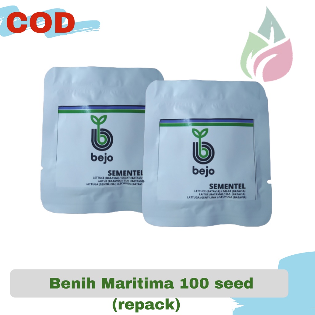 Jual benih selada batavia sementel 100 pills bejo ( repack ) | Shopee ...
