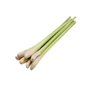 Jual Serai 100gr | Shopee Indonesia