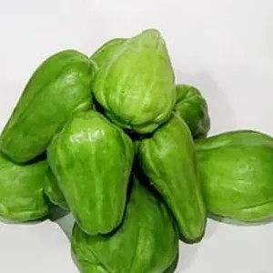 Jual labu lalap 1 kg | Shopee Indonesia