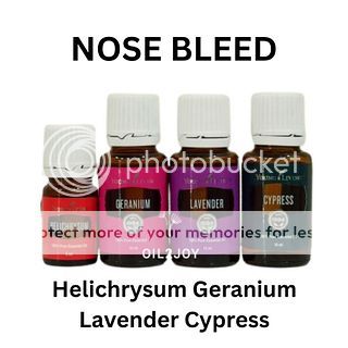 Jual Nose Bled Blend Helichrysum Frankincense Geranium Lavender Cypress ...