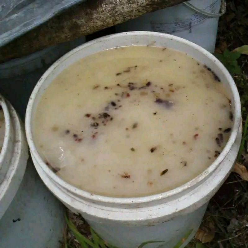 Jual Getah Pinus / Resin Sarang Klanceng Super 1kg | Shopee Indonesia