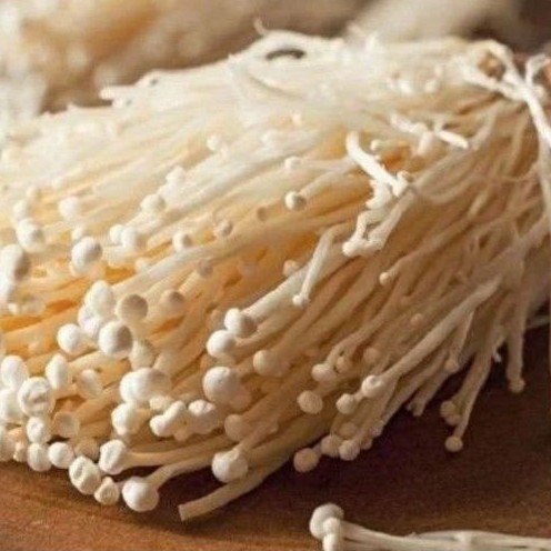 Jual JAMUR ENOKI / ENOKI MUSHROOM / JAMUR TAUGE / ENOKITAKE FRESH 100GR ...