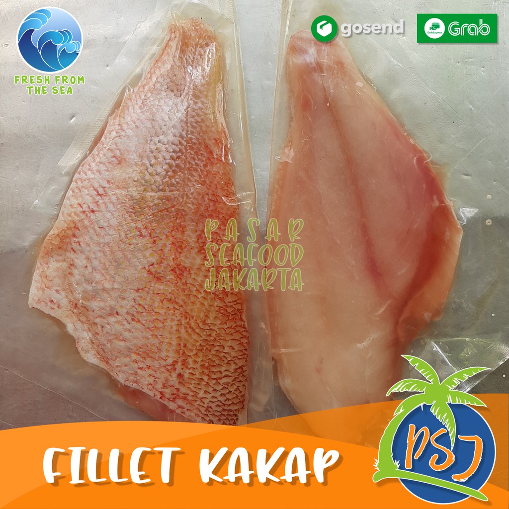 Jual PROMI Fillet Kakap 500 gr/ IKAN KAKAP MERAH FILLET/ FILLET KAKAP ...
