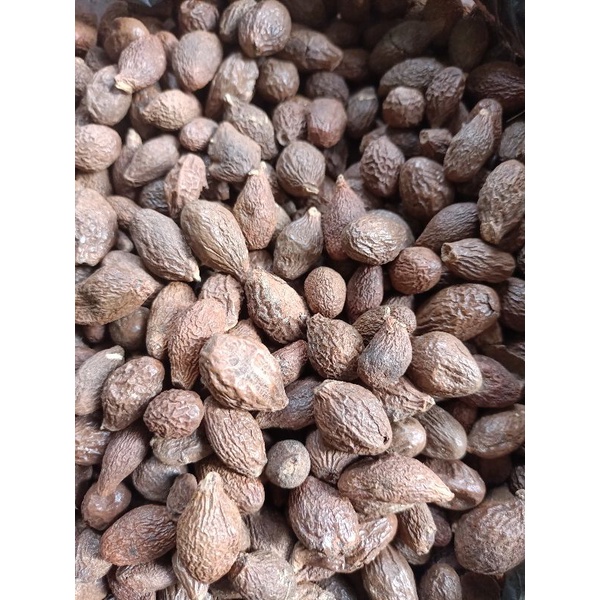 Jual tempayang 100 gram | Shopee Indonesia