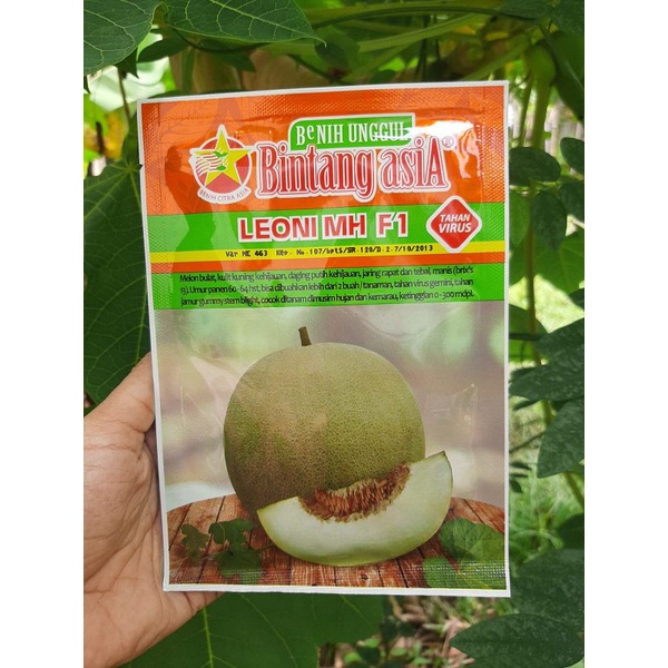 Jual Benih Melon Hibrida LEONI MH F1 | Shopee Indonesia